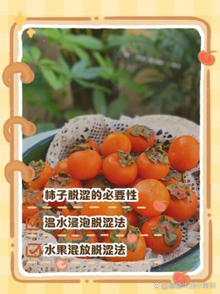 柿子去涩最快的方法_柿子怎么快速去涩-第1张图片-山城妙识