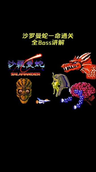沙罗曼蛇30条命怎么调_沙罗曼蛇30条命秘籍是什么-第1张图片-山城妙识