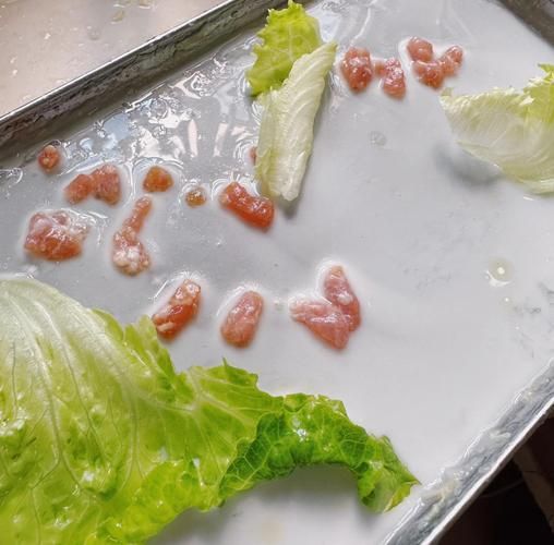 肠粉专用粉比例怎么调_米浆太稠怎么办-第1张图片-山城妙识