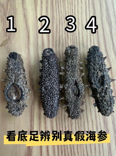 人造海参和真海参的区别_如何辨别真假海参-第1张图片-山城妙识
