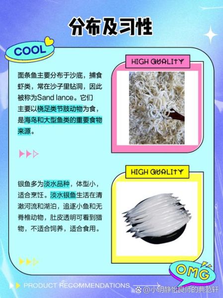面条鱼是银鱼吗_银鱼和面条鱼的区别-第1张图片-山城妙识
