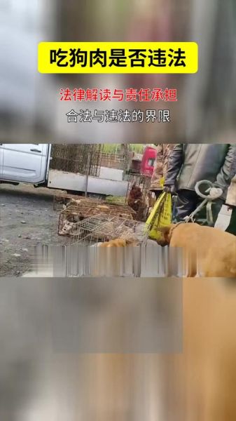 吃狗肉犯法吗_吃狗肉是否违法-第1张图片-山城妙识