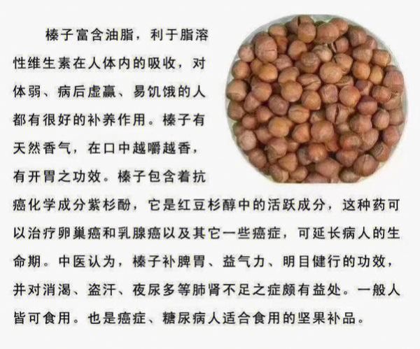 榛子的功效与作用_榛子怎么吃最好-第3张图片-山城妙识