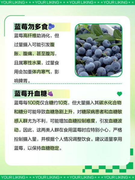 蓝莓吃多了会怎么样_一天吃多少合适-第1张图片-山城妙识 蓝莓吃多了会怎么样_一天吃多少合适-第1张图片-山城妙识