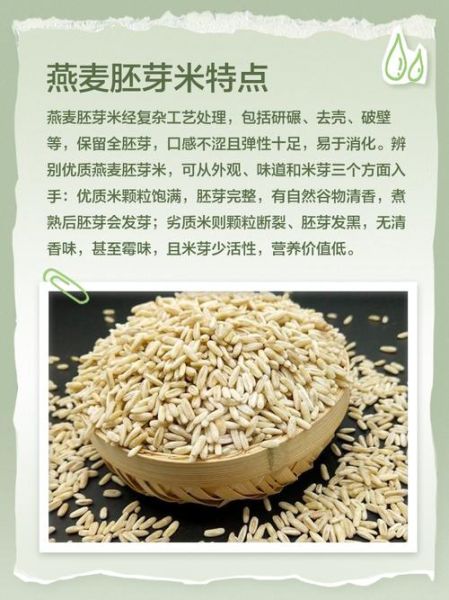 胚芽燕麦米能减肥吗_胚芽燕麦米的功效与作用-第3张图片-山城妙识 胚芽燕麦米能减肥吗_胚芽燕麦米的功效与作用-第3张图片-山城妙识