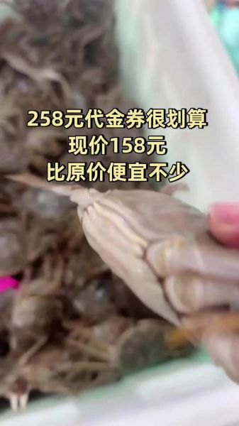 兴化大闸蟹多少钱一斤_2024最新价格表-第2张图片-山城妙识 兴化大闸蟹多少钱一斤_2024最新价格表-第2张图片-山城妙识