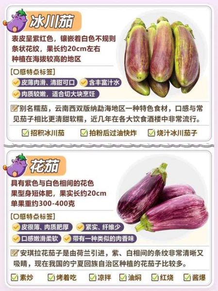 茄科蔬菜有哪些_常见品种与食用禁忌-第2张图片-山城妙识