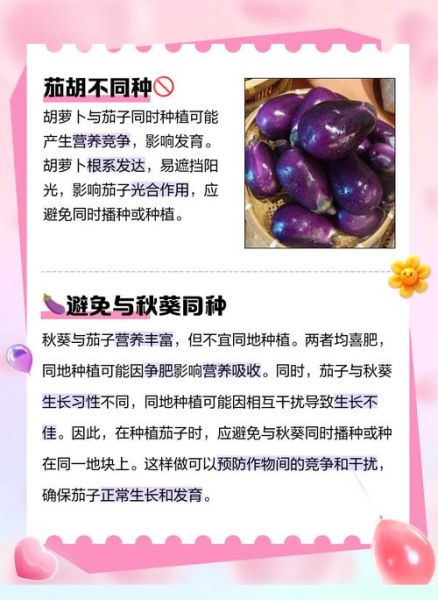 茄科蔬菜有哪些_常见品种与食用禁忌-第3张图片-山城妙识