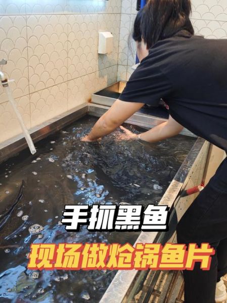 黑鱼怎么杀_黑鱼宰杀步骤图解-第3张图片-山城妙识