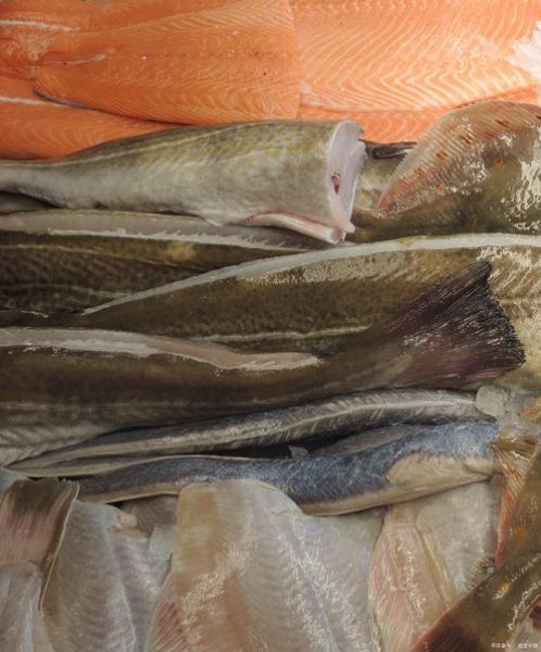 海鲶鱼图片大全大图_海鲶鱼高清图哪里找-第2张图片-山城妙识