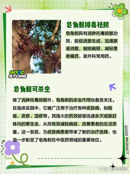 皂角刺配蒲公英有什么功效_皂角刺蒲公英能一起用吗-第1张图片-山城妙识 皂角刺配蒲公英有什么功效_皂角刺蒲公英能一起用吗-第1张图片-山城妙识