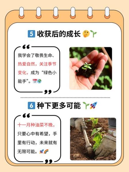 小油菜怎么种_小油菜营养价值-第2张图片-山城妙识