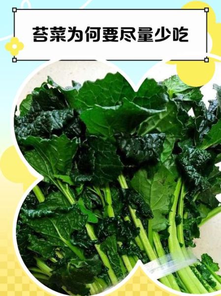 苔菜的功效与禁忌_哪些人不能吃苔菜-第3张图片-山城妙识 苔菜的功效与禁忌_哪些人不能吃苔菜-第3张图片-山城妙识