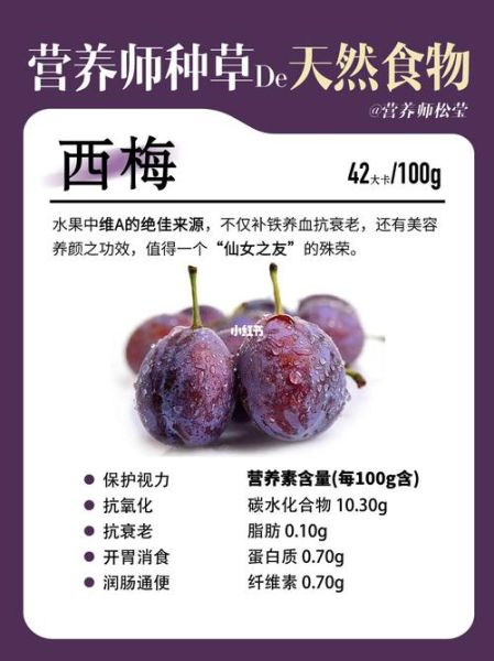 西梅的营养价值_西梅的功效与作用-第1张图片-山城妙识