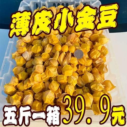 洋菇茑是什么_洋菇茑怎么种植-第1张图片-山城妙识 洋菇茑是什么_洋菇茑怎么种植-第1张图片-山城妙识