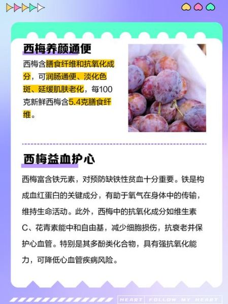 西梅的营养价值_西梅的功效与作用-第3张图片-山城妙识