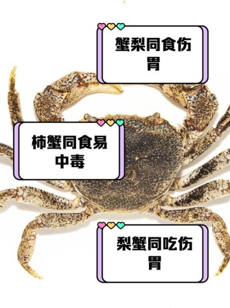 螃蟹不能和什么一起吃_吃螃蟹后多久能吃水果-第1张图片-山城妙识