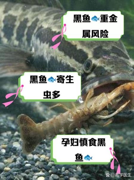 女孩为什么不能吃黑鱼_黑鱼对女生的危害-第2张图片-山城妙识