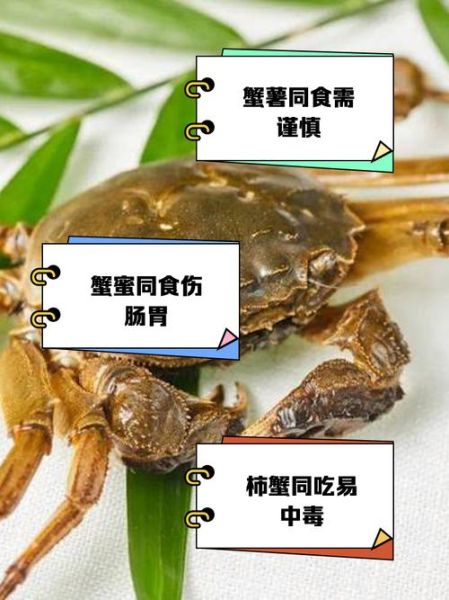 螃蟹不能和什么一起吃_吃螃蟹后多久能吃水果-第3张图片-山城妙识
