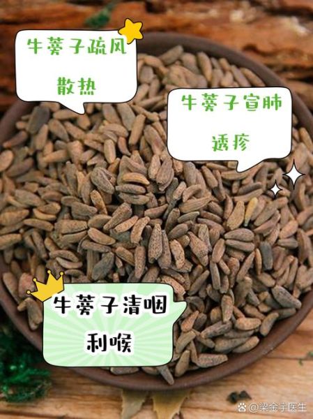 牛蒡子功效与作用_牛蒡子怎么吃效果最好-第2张图片-山城妙识