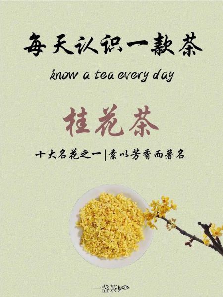 常喝桂花茶有什么好处_桂花茶的功效与作用-第3张图片-山城妙识 常喝桂花茶有什么好处_桂花茶的功效与作用-第3张图片-山城妙识