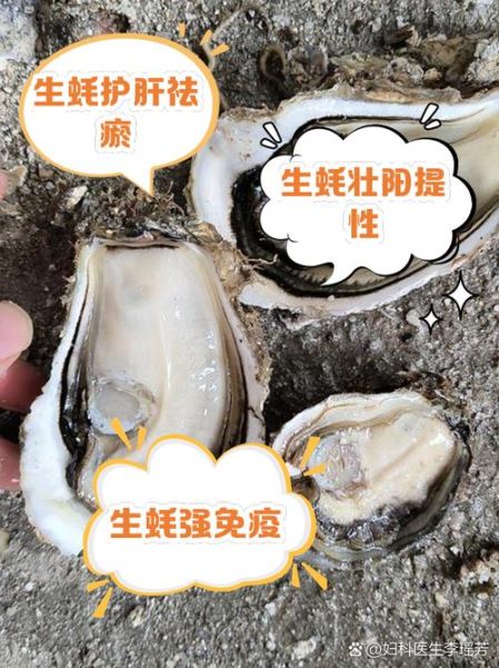 吃了生蚝晚上硬邦邦正常吗_生蚝壮阳多久见效-第1张图片-山城妙识 吃了生蚝晚上硬邦邦正常吗_生蚝壮阳多久见效-第1张图片-山城妙识