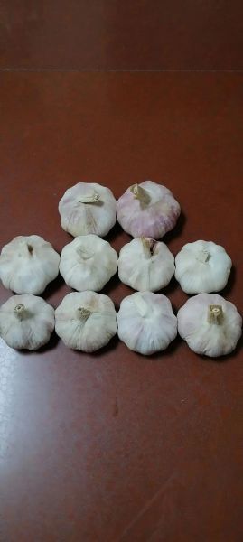 夏天泡腊八蒜的方法_夏天泡腊八蒜会不会坏-第1张图片-山城妙识