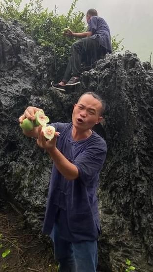 爱玉果树怎么种_爱玉果树多久结果-第2张图片-山城妙识