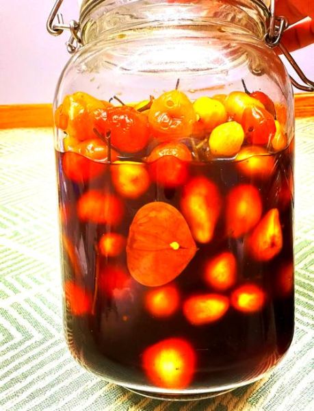 灯笼椒怎么炒好吃_家常灯笼椒做法大全-第1张图片-山城妙识 灯笼椒怎么炒好吃_家常灯笼椒做法大全-第1张图片-山城妙识