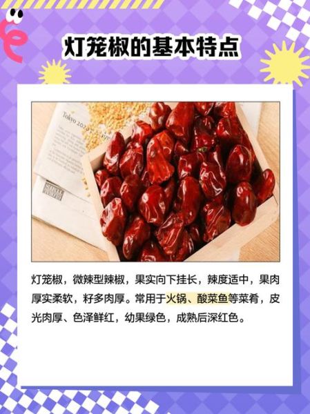 灯笼椒怎么炒好吃_家常灯笼椒做法大全-第3张图片-山城妙识 灯笼椒怎么炒好吃_家常灯笼椒做法大全-第3张图片-山城妙识