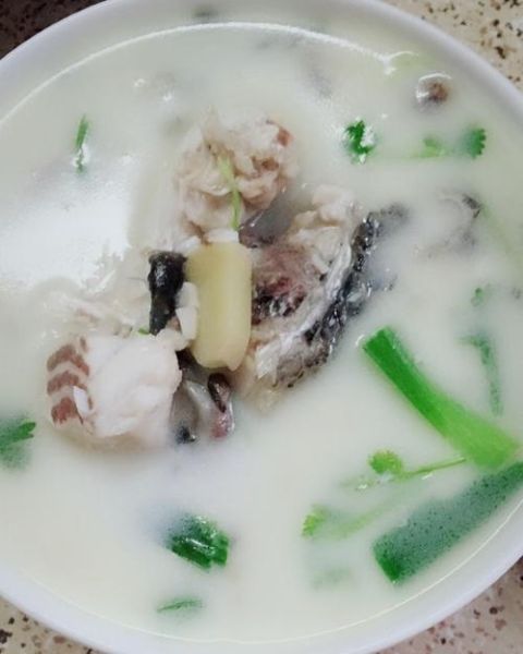 清炖草鱼汤怎么做好喝_清炖草鱼汤放什么去腥-第3张图片-山城妙识 清炖草鱼汤怎么做好喝_清炖草鱼汤放什么去腥-第3张图片-山城妙识