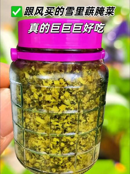 雪菜怎么腌制好吃_雪菜腌制简单方法-第2张图片-山城妙识 雪菜怎么腌制好吃_雪菜腌制简单方法-第2张图片-山城妙识
