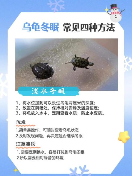 乌龟冬眠前兆有哪些_如何判断乌龟进入冬眠状态-第1张图片-山城妙识