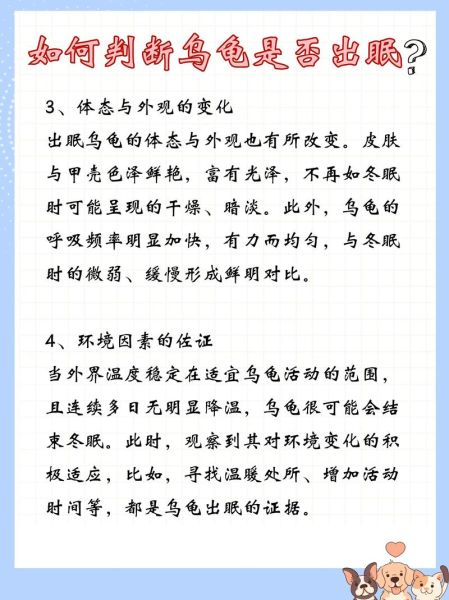 乌龟冬眠前兆有哪些_如何判断乌龟进入冬眠状态-第2张图片-山城妙识