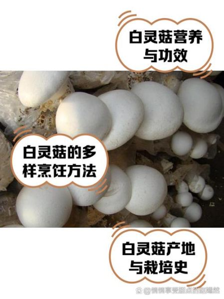 白灵菇怎么做好吃_白灵菇图片做法大全-第1张图片-山城妙识