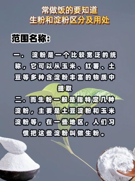 生粉和淀粉的用途一样吗_厨房小白必看-第1张图片-山城妙识 生粉和淀粉的用途一样吗_厨房小白必看-第1张图片-山城妙识