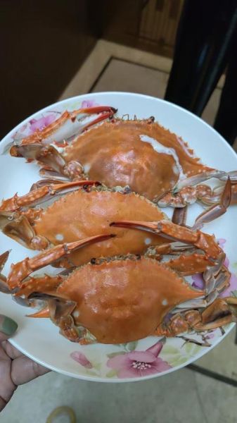 蒸螃蟹用冷水还是热水_蒸螃蟹蒸多久才熟-第2张图片-山城妙识 蒸螃蟹用冷水还是热水_蒸螃蟹蒸多久才熟-第2张图片-山城妙识