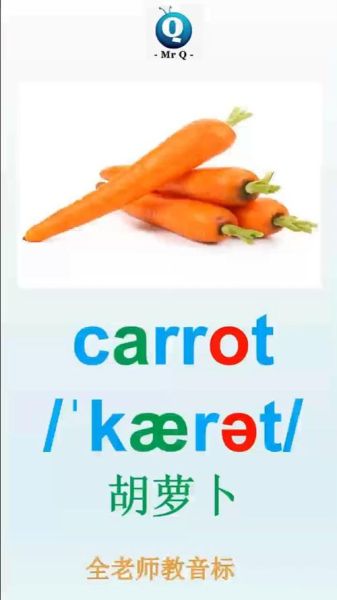 胡萝卜英语怎么读音_发音技巧详解-第1张图片-山城妙识 胡萝卜英语怎么读音_发音技巧详解-第1张图片-山城妙识
