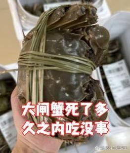 没死多久的大闸蟹能吃吗_大闸蟹死了多久不能吃-第1张图片-山城妙识 没死多久的大闸蟹能吃吗_大闸蟹死了多久不能吃-第1张图片-山城妙识