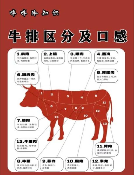 牛肉里脊肉是哪个部位_怎么区分牛里脊与牛外脊-第1张图片-山城妙识 牛肉里脊肉是哪个部位_怎么区分牛里脊与牛外脊-第1张图片-山城妙识