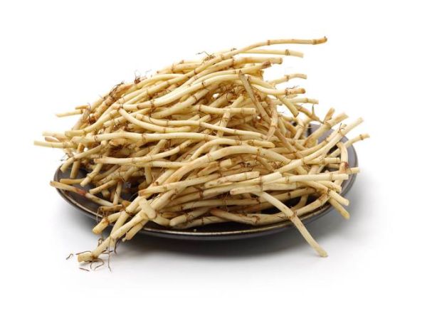 鱼腥草图片长什么样_鱼腥草副作用有哪些-第1张图片-山城妙识 鱼腥草图片长什么样_鱼腥草副作用有哪些-第1张图片-山城妙识