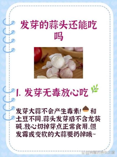 蒜头发芽了还能吃吗_发芽大蒜有毒吗-第1张图片-山城妙识