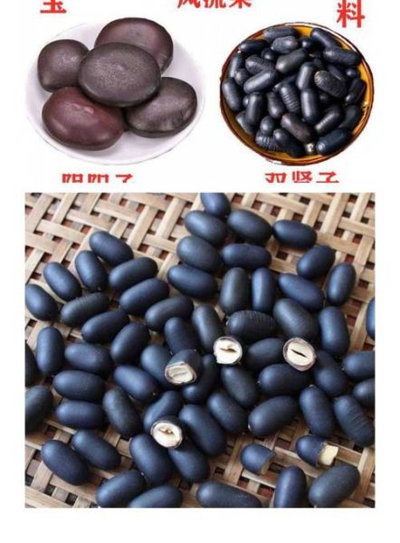 老鸹枕头是什么_老鸹枕头有什么功效-第1张图片-山城妙识