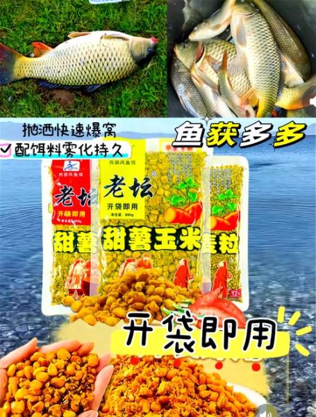 甜玉米罐头能钓鱼吗_甜玉米罐头钓鱼技巧-第1张图片-山城妙识 甜玉米罐头能钓鱼吗_甜玉米罐头钓鱼技巧-第1张图片-山城妙识