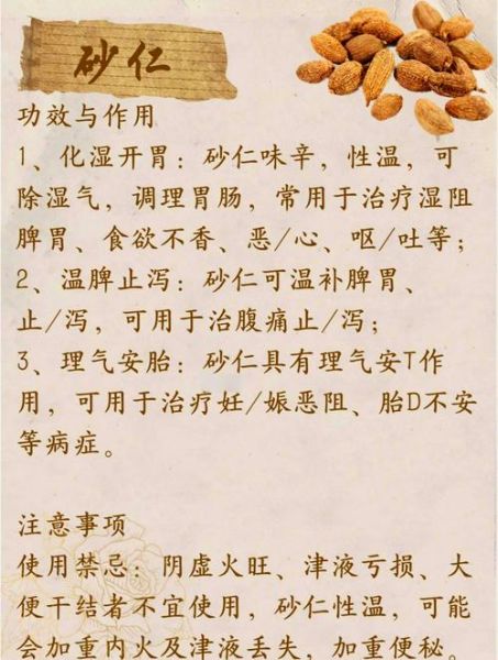 砂仁的功效与作用_砂仁的禁忌症有哪些-第1张图片-山城妙识