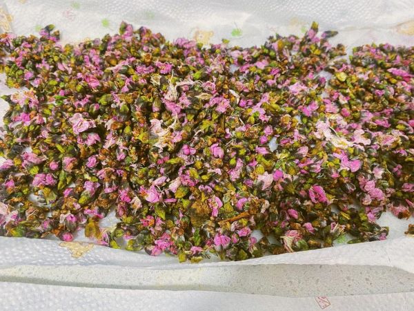 桃花白芷酒比例是多少_如何泡制桃花白芷酒-第2张图片-山城妙识