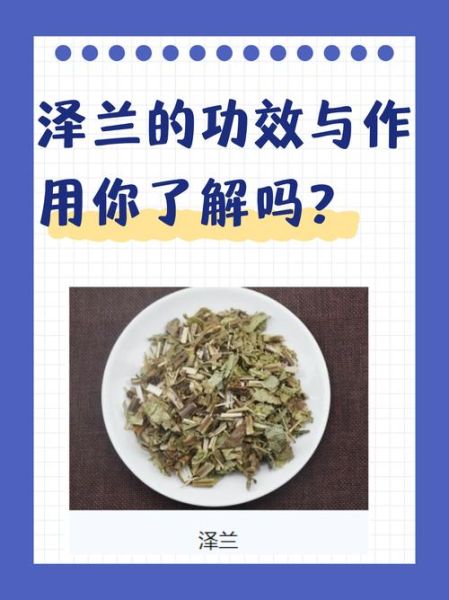 泽兰的功效与作用_泽兰能活血化瘀吗-第2张图片-山城妙识