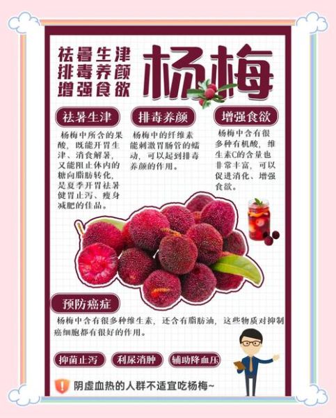 杨梅的功效与作用_杨梅吃多了会上火吗-第1张图片-山城妙识