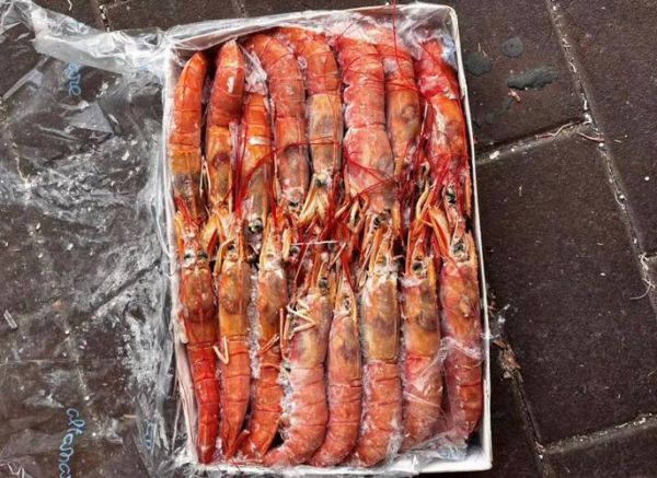阿根廷红虾l1和l2区别_哪个等级更好吃-第3张图片-山城妙识