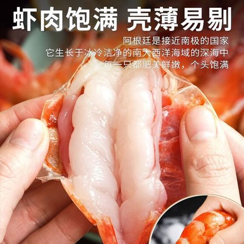 阿根廷红虾l1和l2区别_哪个等级更好吃-第1张图片-山城妙识